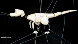 Hongyi Xu, Publications